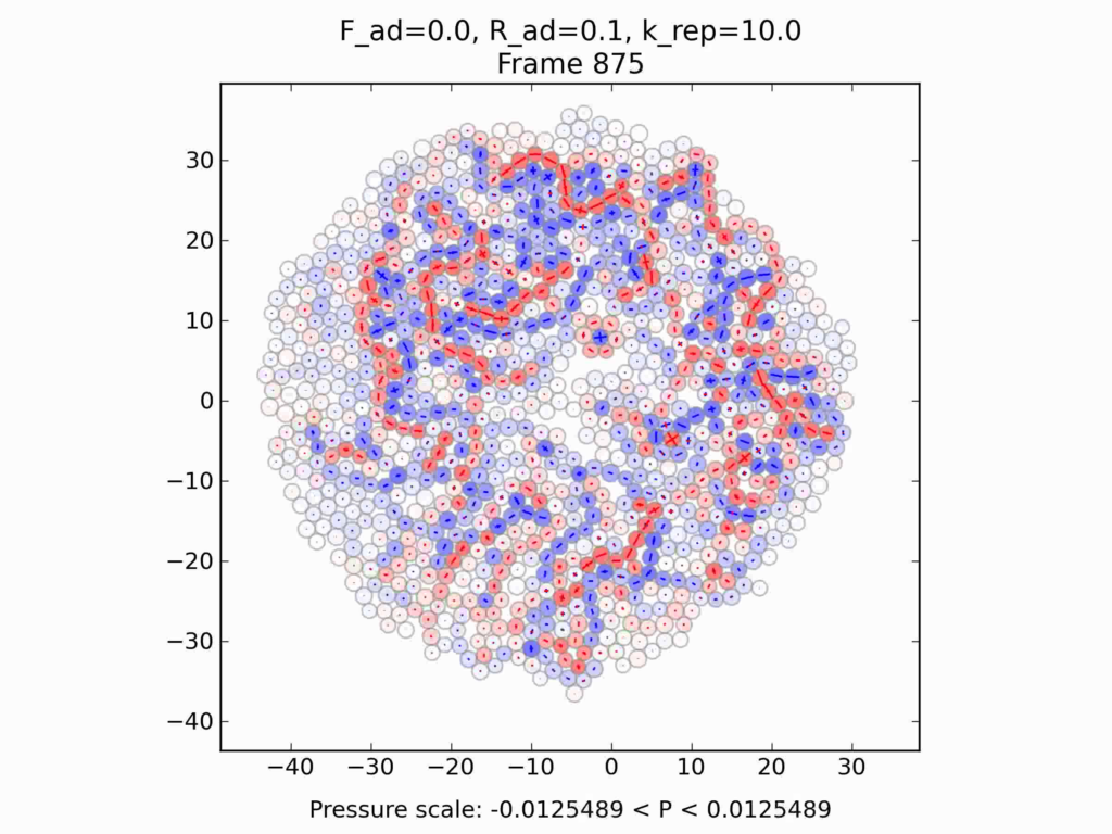 Collective cell motion